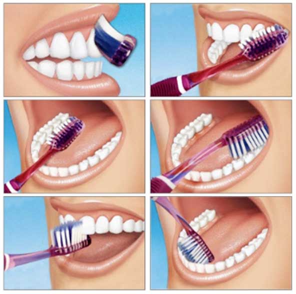 4 Dental Hygiene Tips For Lifelong Healthy Teeth And Gums - My Health ...