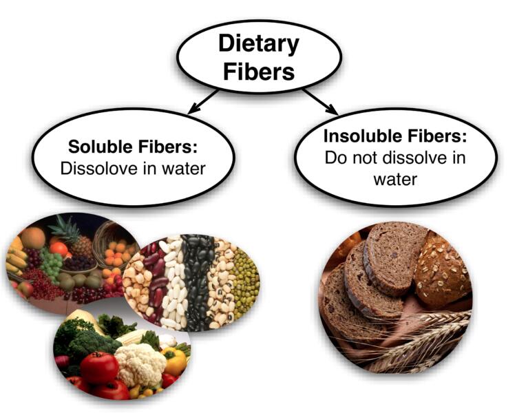 Nutrition Guide: Demystifying Dietary Fiber - My Health Fitness Tips